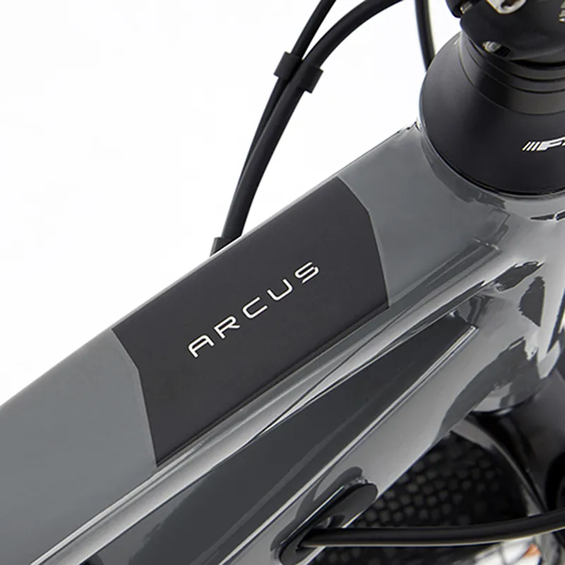 2021 Ridgeback Arcus Electric Hybrid Bike