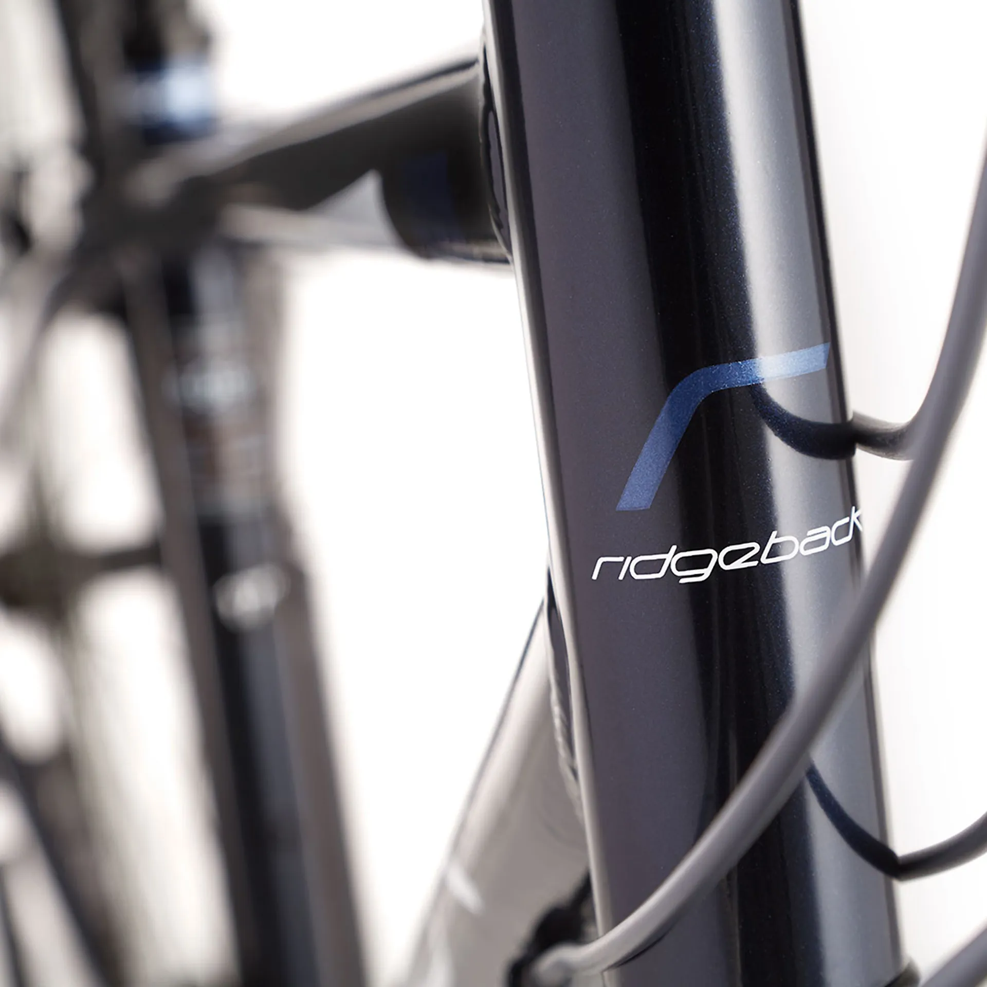 2017 Ridgeback Motion